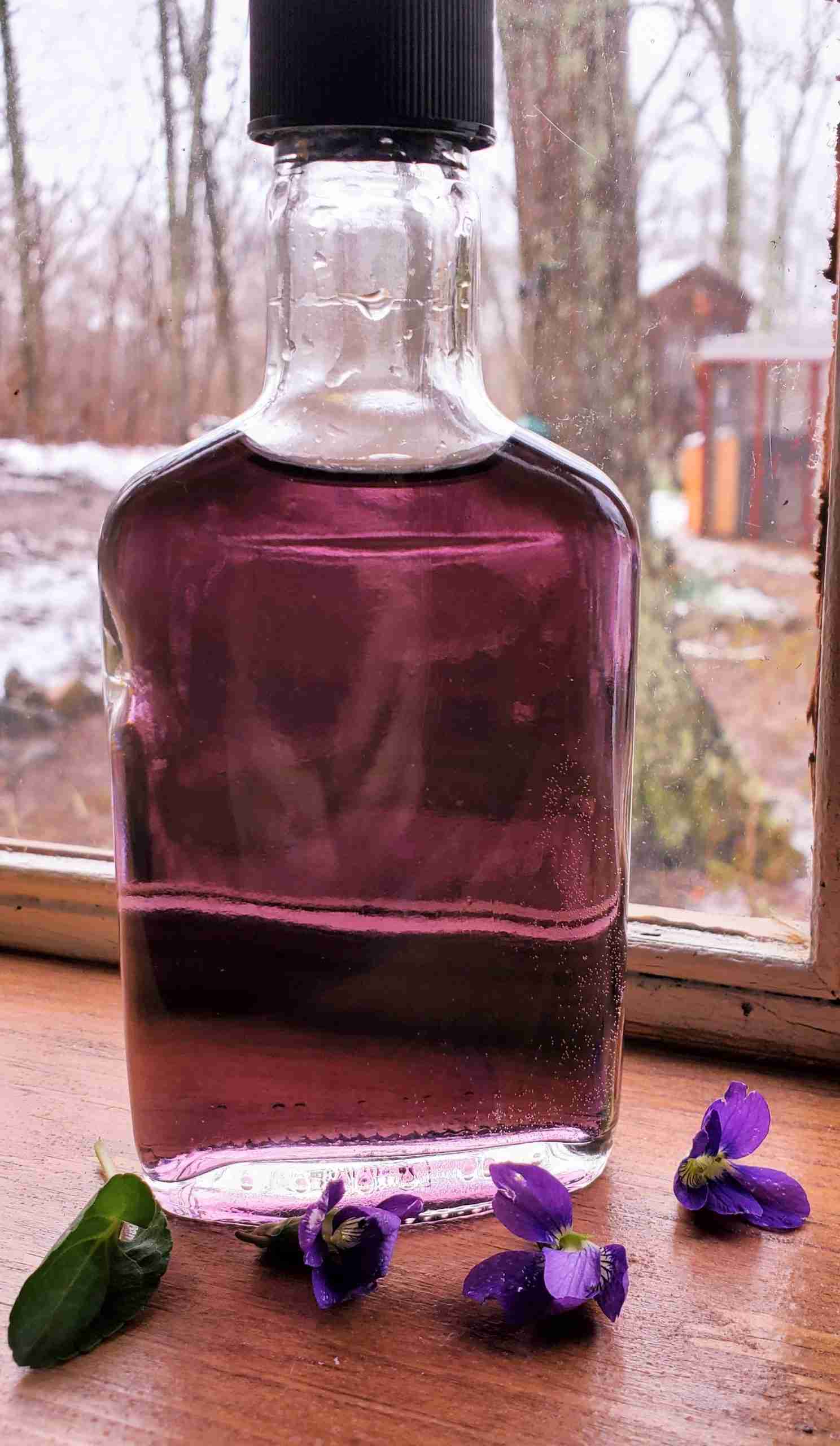 Foraging Garlic Mustard Weed: A Delicious Invasive - The Outdoor Apothecary