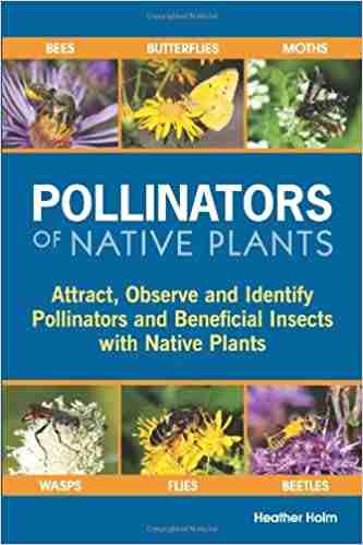 30+ Best Field Guides & Plant Identification Books - The Outdoor Apothecary