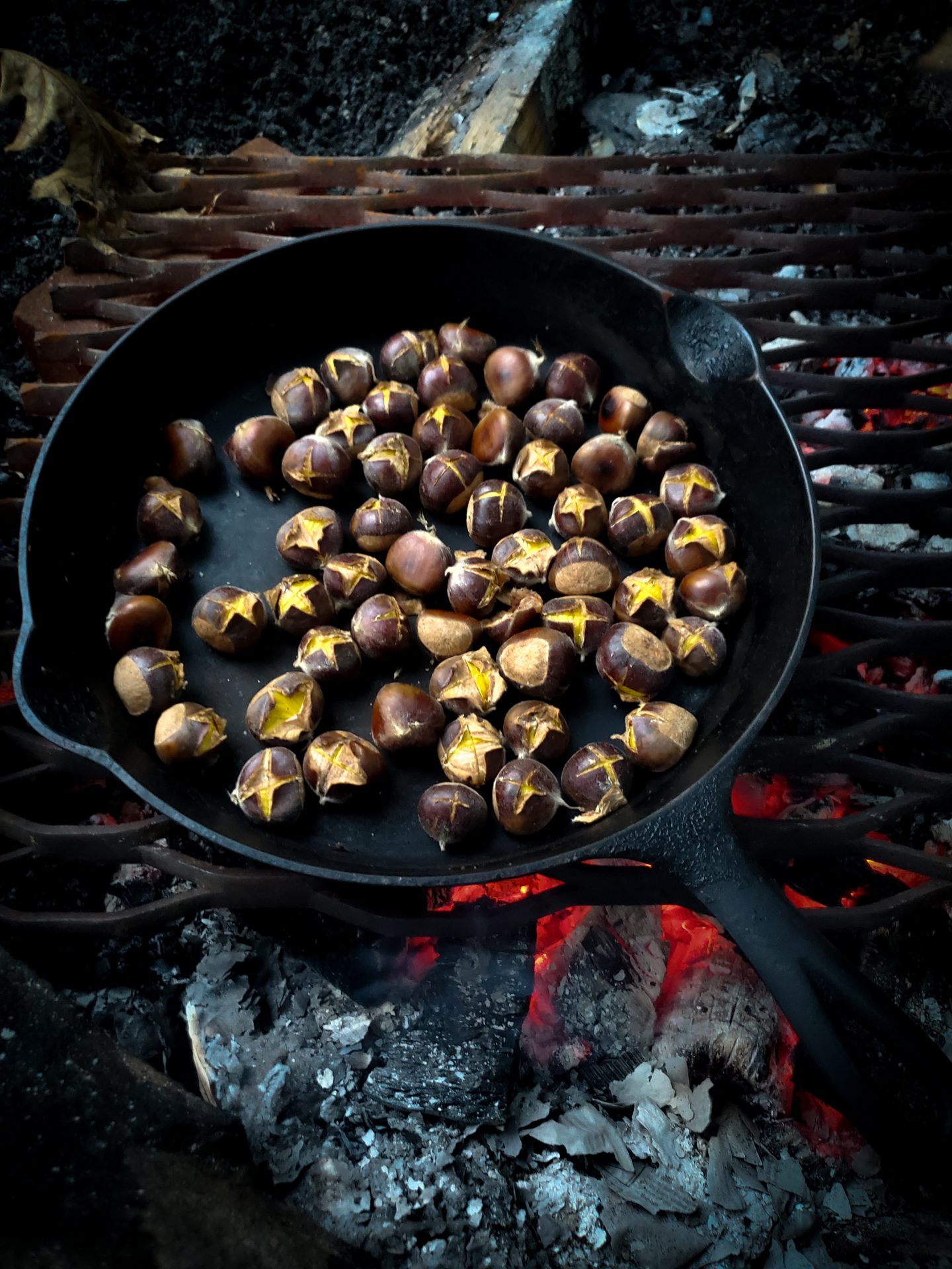 How To Roast Chestnuts: 5 Easy Methods - The Outdoor Apothecary
