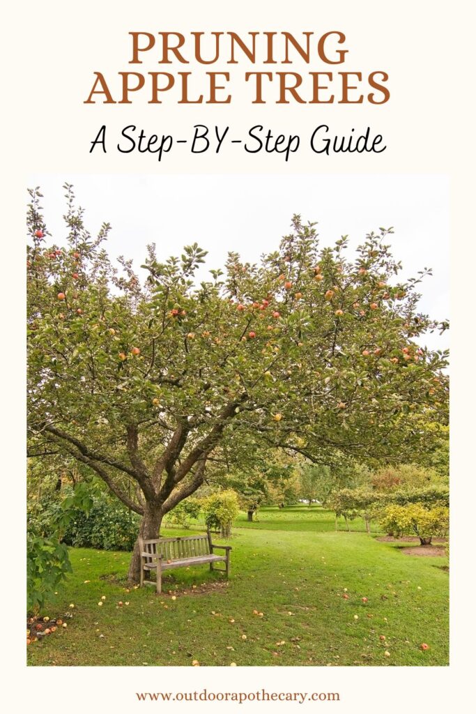 How To Prune An Apple Tree: An Easy Step-By-Step Guide - The Outdoor ...