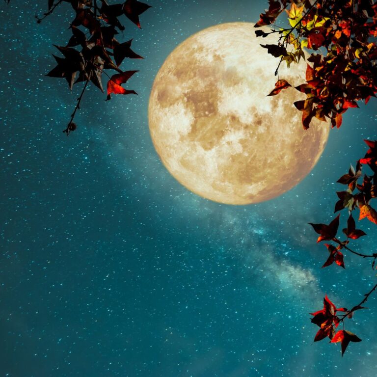 April's Full Moon: Celebrating The Beauty And Magic Of The Pink Moon ...