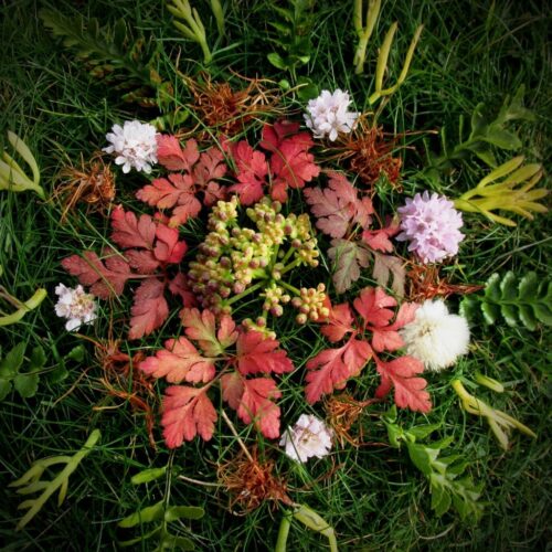 July's Full Moon: Exploring The Folklore And Significance Of A Buck ...