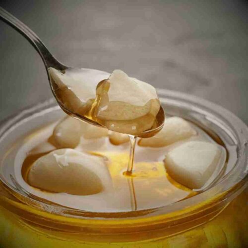 Easy Fermented Garlic Honey: Benefits And Recipe - The Outdoor Apothecary