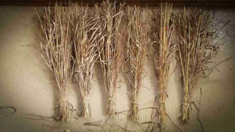 Crafting Your Own Besom: Explore The Magic Of The Witch's Broom - The ...