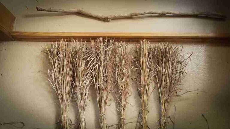 Crafting Your Own Besom: Explore The Magic Of The Witch's Broom - The ...